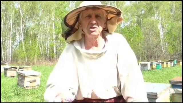 КУКУШКИНЫ СЛЁЗКИ лечим горло