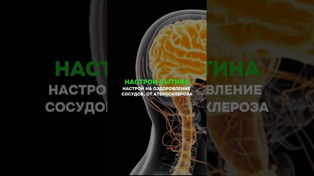 Нелекарственный метод лечения Сытина — ссылка в профиле⬆️ #здоровье #настроисытина