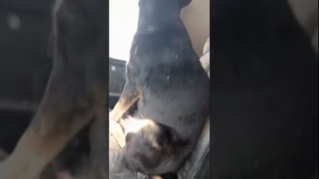 вот что значит шляпа дымится