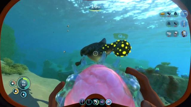 Subnautica (best) Улучшаем плавучесть газобрюхов!