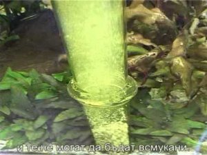 Устройство на аквариума Tetra Bg sub