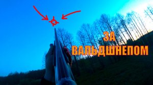 Открытие охоты на Вальдшнепа 2024