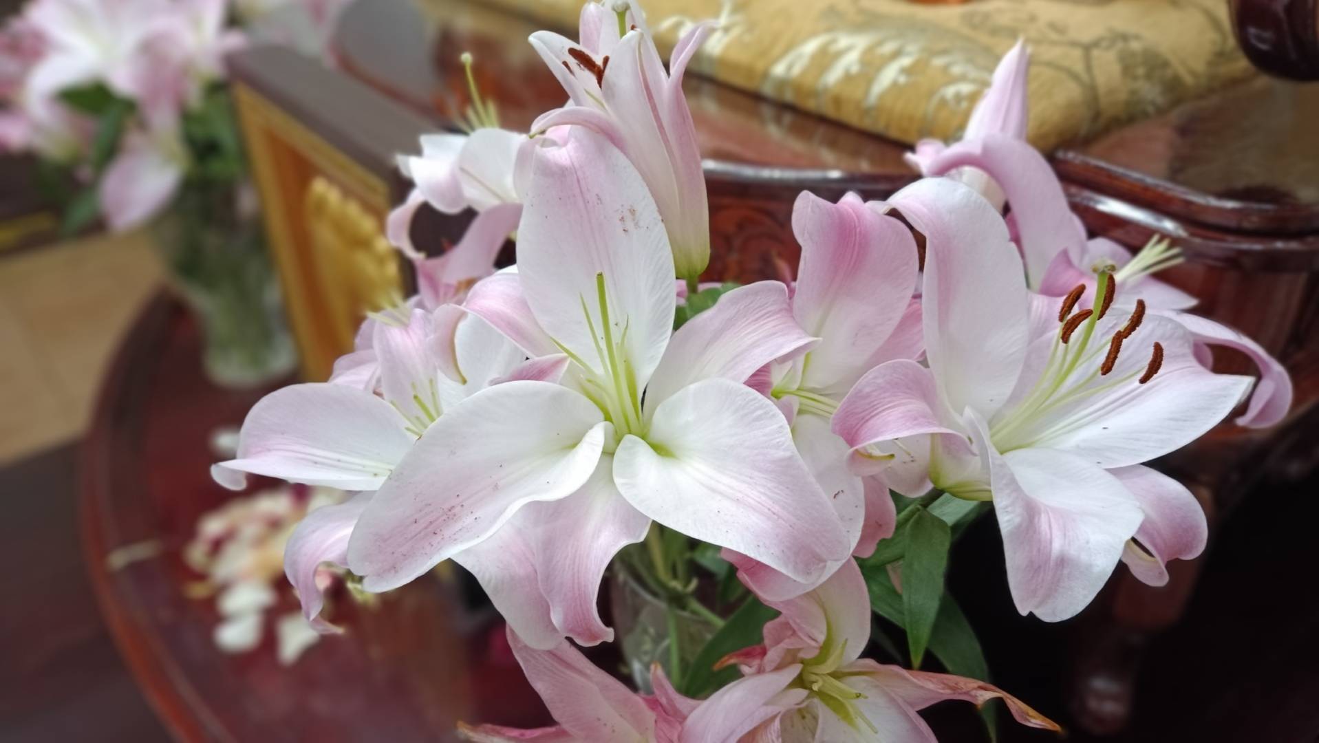 2024-11-21 Музыкальная Мантра Медитация.Храм Кришны на Полежаевской.MSK.RU..MusisalMantraMeditaton.