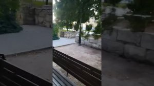 6 августа 2019 г.