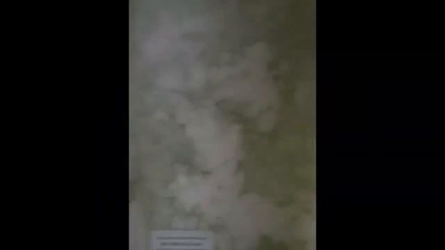 Поездка в Костомарово
