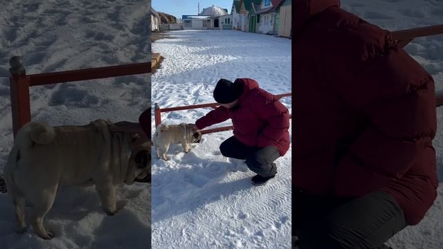 #космоэнергеты_шутят