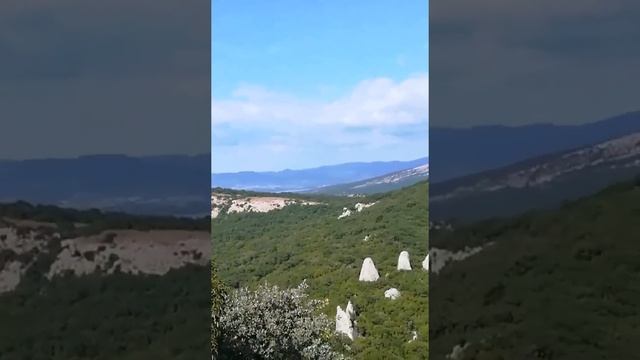 23 августа 2019 г.