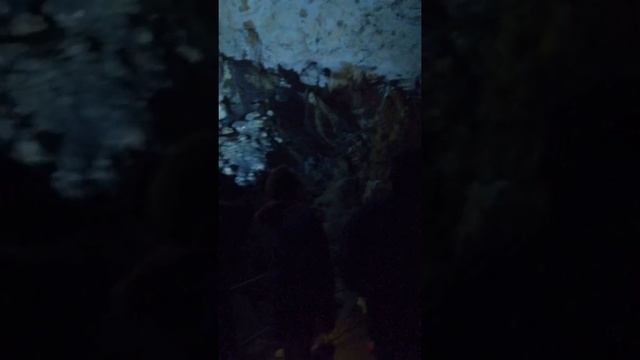 23 августа 2019 г.