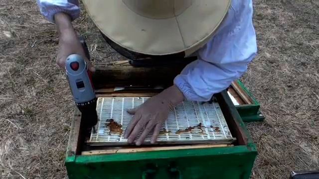 КАК ПЕРЕЗИМОВАЛИ МАТКИ В ИЗОЛЯТОРАХ