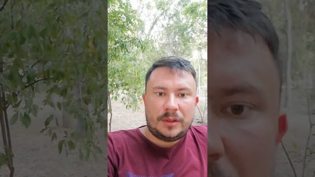 Работа с чакрами