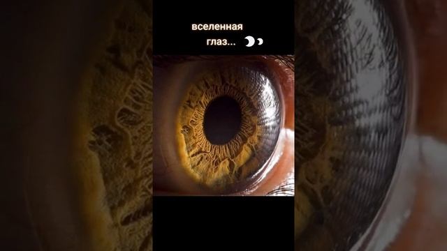 13 декабря 2021 г.