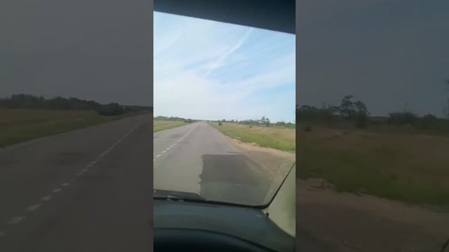 2 августа 2019 г.