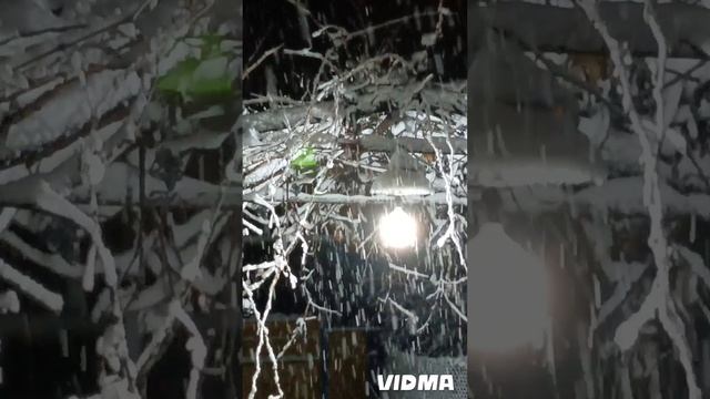 На Кубани зима 🙄 27.11.2024