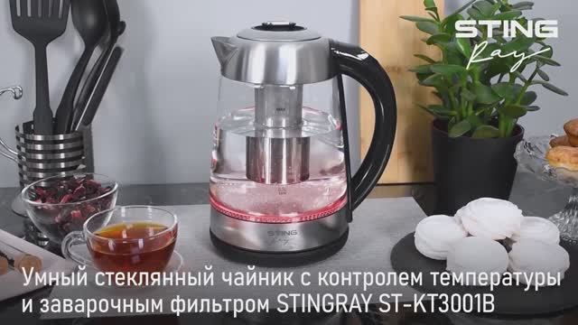 Чайник STINGRAY ST-KT3001B