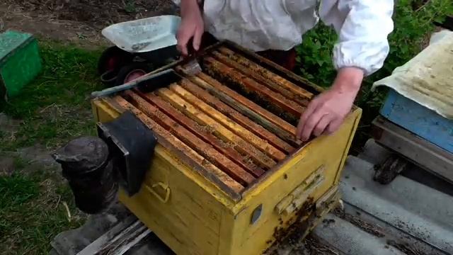 Контроль приёма личинок