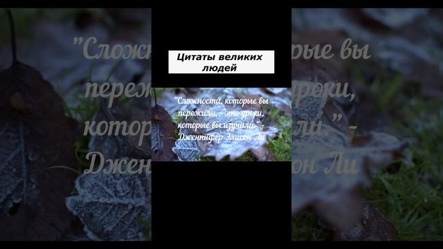 Цитаты великих людей №18