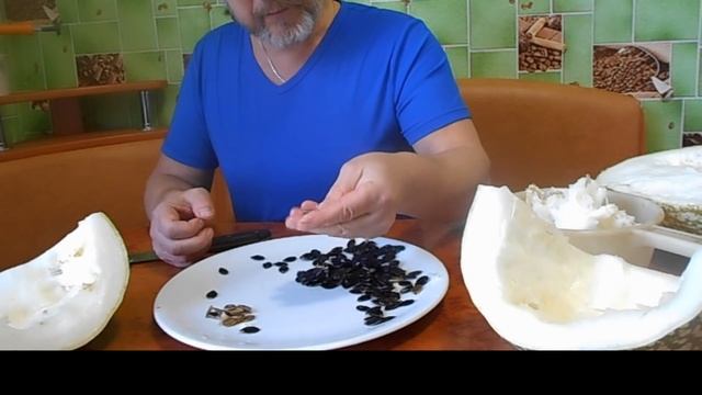 Тыква с черными семенами  Фицефалия