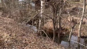 Второе видовое место в первой очереди коттеджной застройки КП "Сосновские горки"