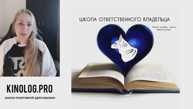 Встреча 3 "Ответы на вопросы" в Школе ответственного владельца"