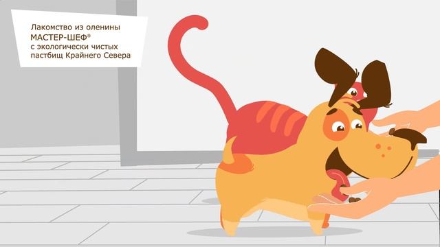 Реклама для ТВ  Корм Mастер шеф