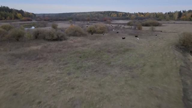 Тартинский пруд 2