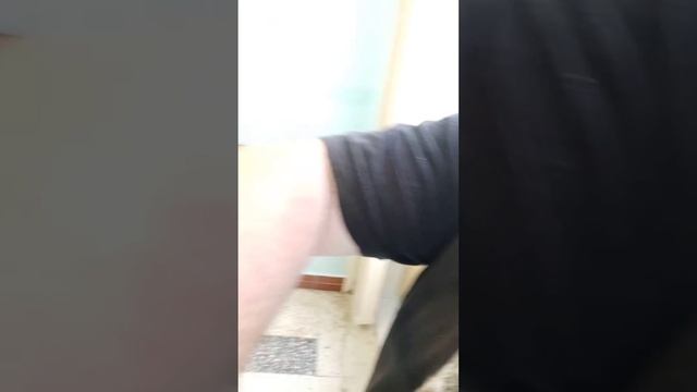 Коронавирус часть 9