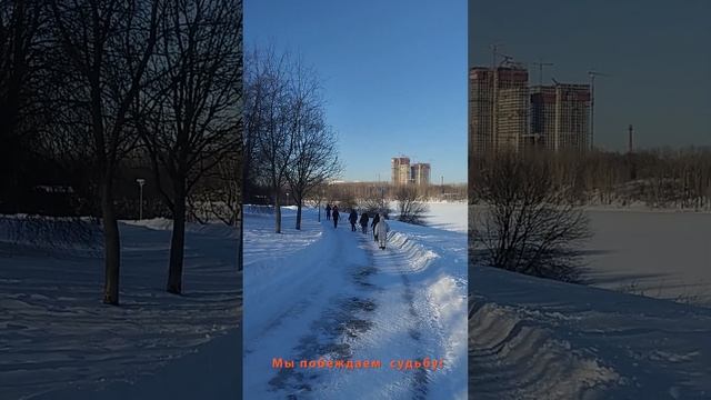 Скандинавская Ходьба инструктор Тоцкая Ольга (12.01.2024)