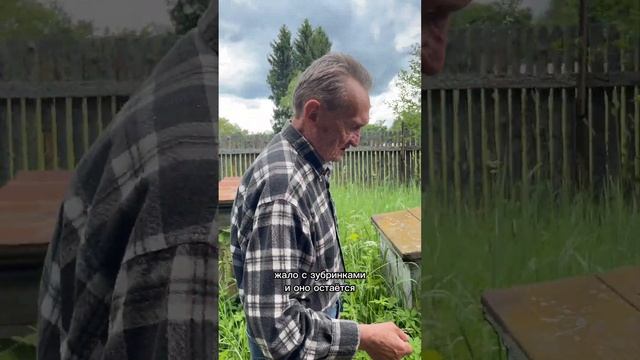 Лишний раз пчела не кусает, в гостях у пчеловода #интервью #деревня #пчеловодство
