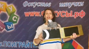 Фокус коробка для появление кролика или крупных предметов.