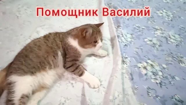 Шьëм с Василием.