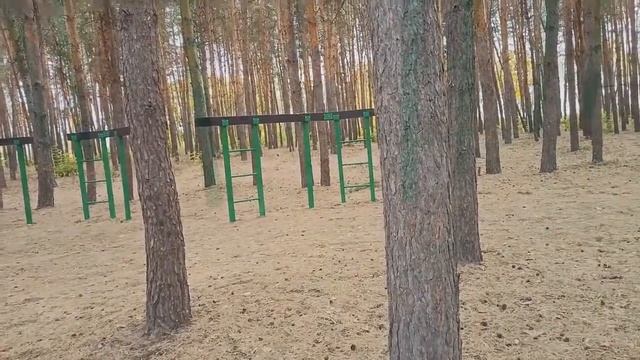 Каялов бор. Россошь.