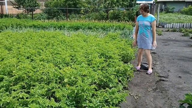 Кролик часть вторая.