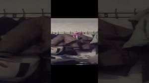 кувалдова и Ёря