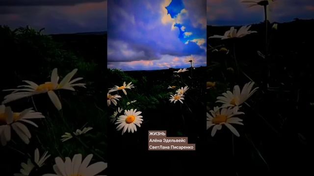 И вера, и сила, уверенность взгляда...
Молчанье ...молитва...и свет звездопада