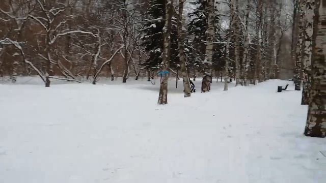 Январь 2017 года
