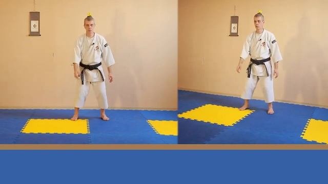 КОМПЛЕКС РАСКРЕПОЩЕНИЯ ДВИЖЕНИЙ  (НАЧАЛЬНЫЙ УРОВЕНЬ)