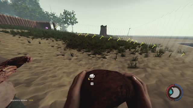 The Forest