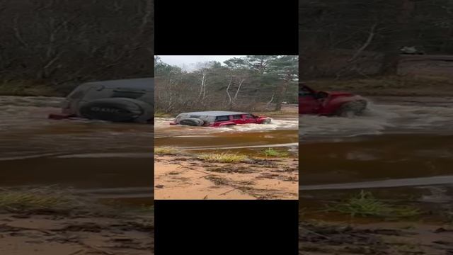 1000075410.mp4