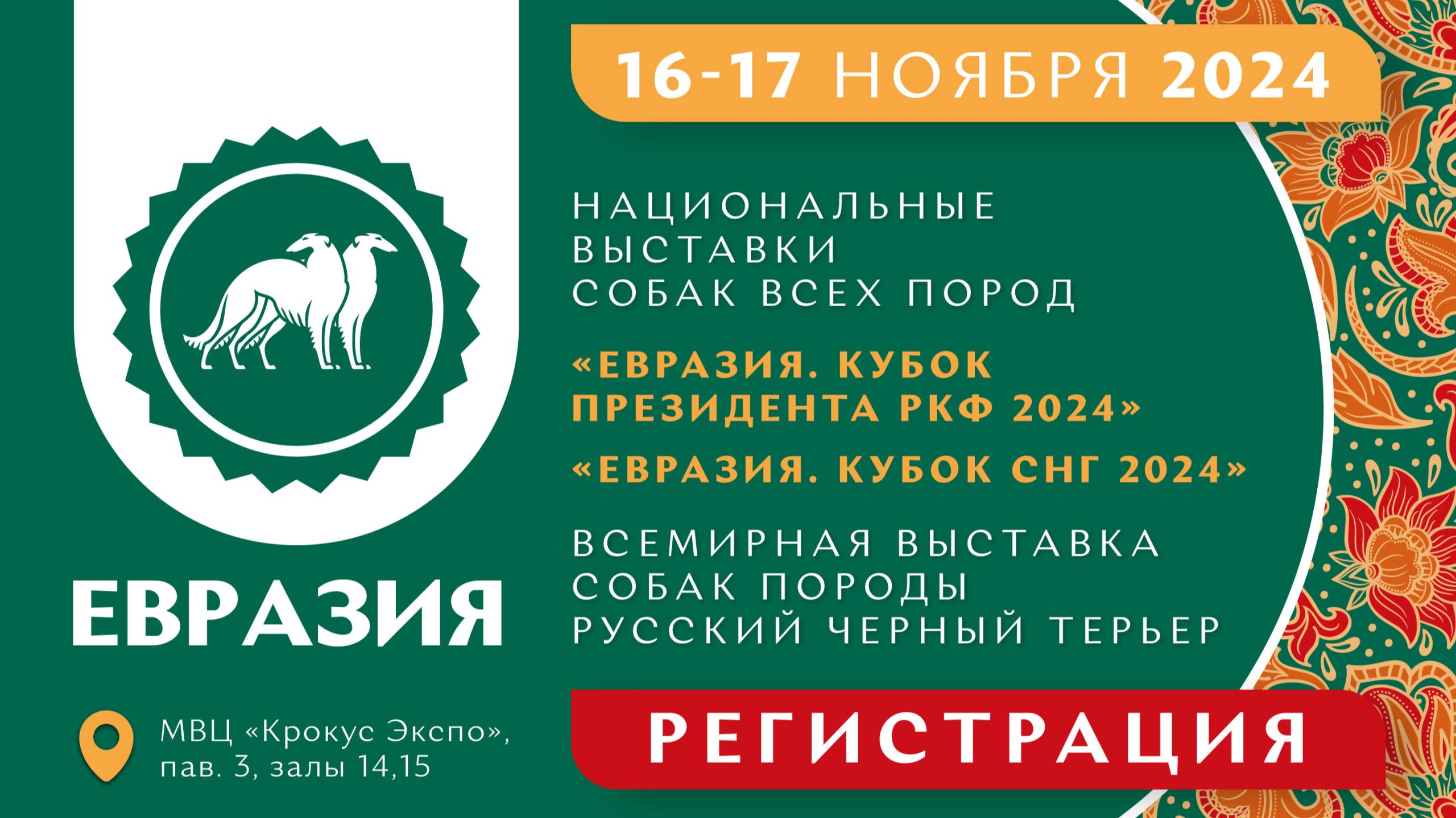 Доберманы на Евразии 2024 в ноябре