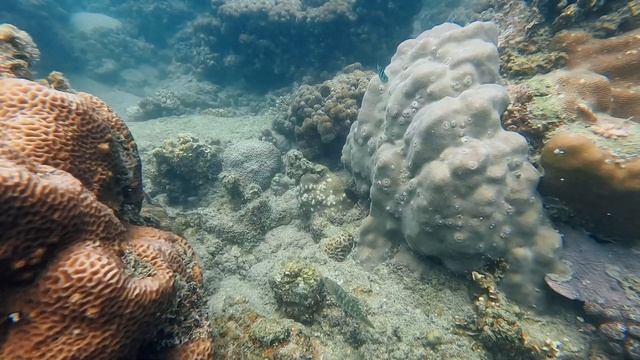Underwater space | Подводный космос | 4K