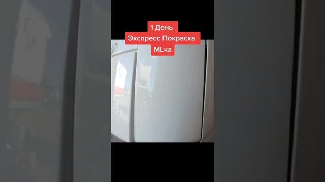 1 день экспресс покраска
