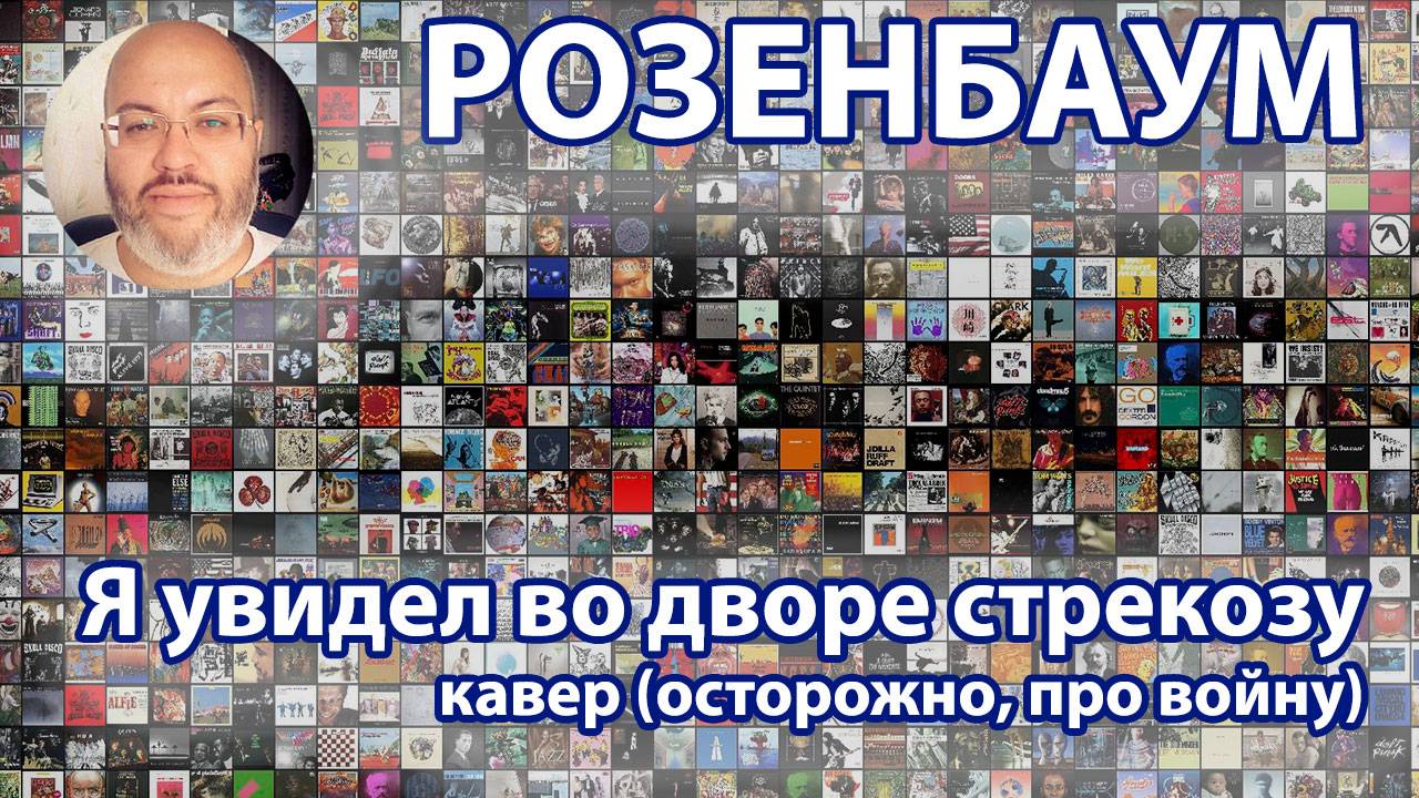 А.Розенбаум - Я увидел во дворе стрекозу (кавер)