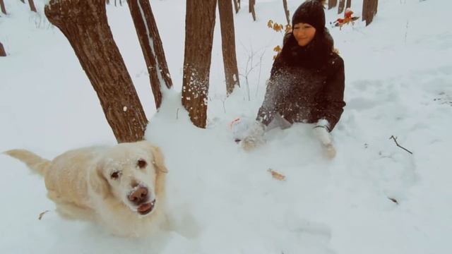 Февральский снег