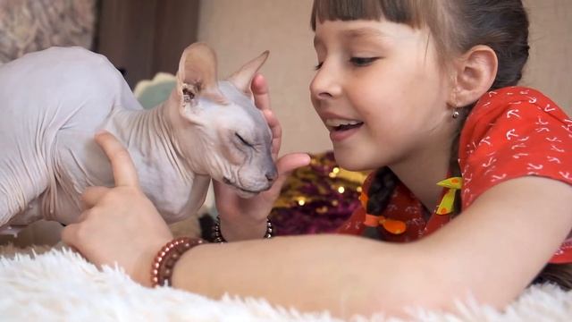 Мои домашние питомцы (Пархоменко Маша)