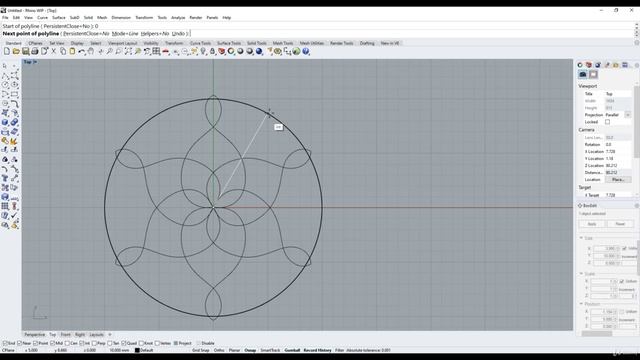 8 - Drawing a detailed filigree design