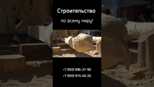 Строительство эксклюзивных деревянных домов по всему миру #shorts #деревянныйдом #logcabin #wood