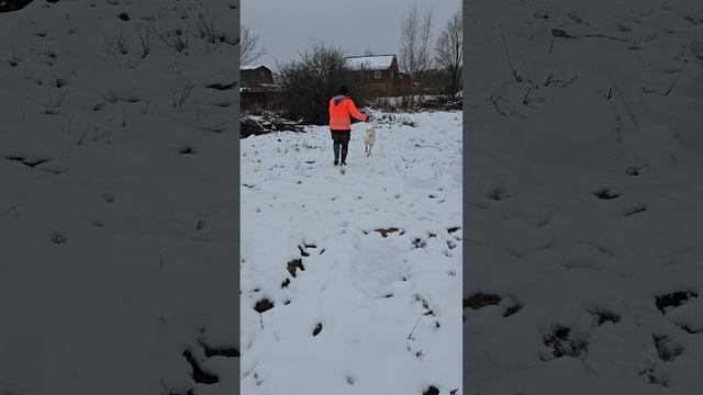 Слегка переборщила