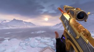 Valiant Hero Skin Bundle In Game Showcase