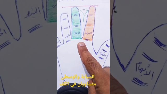 #مازن_البيضاني السبابة والوسطى متساويان في الكف