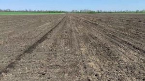 Сіємо соняшник УПС 8. і пару вопросів